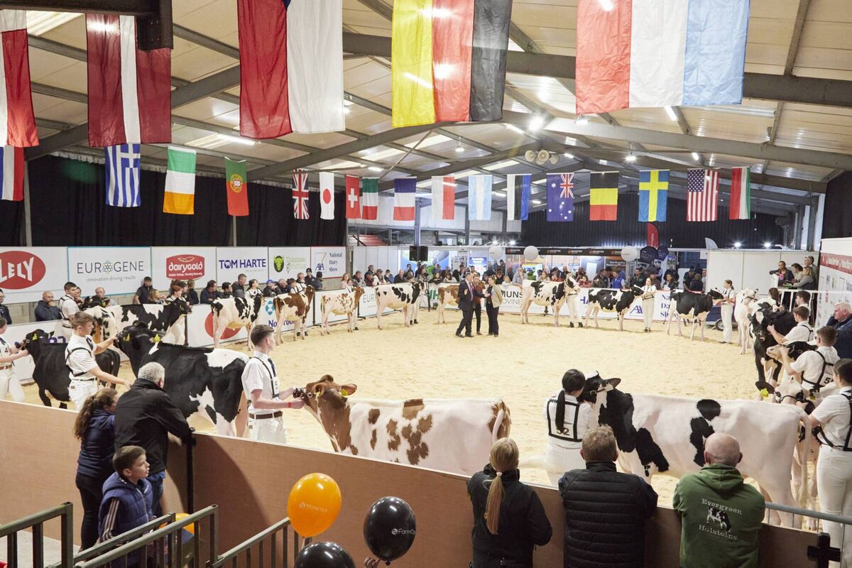 Pictures: National Dairy Show