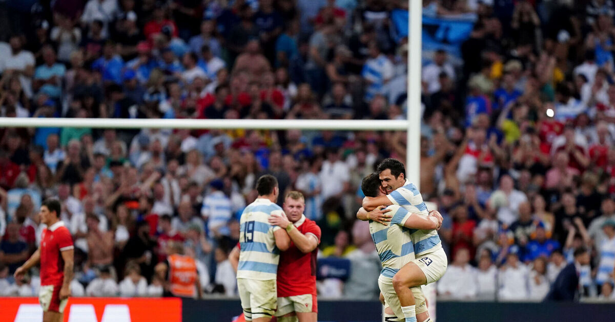 Argentina know how to knock out as eyes turn to New Zealand