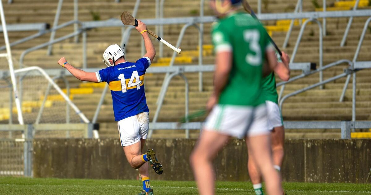 Sensational Aaron Gillane fires Patrickswell into Limerick SHC final