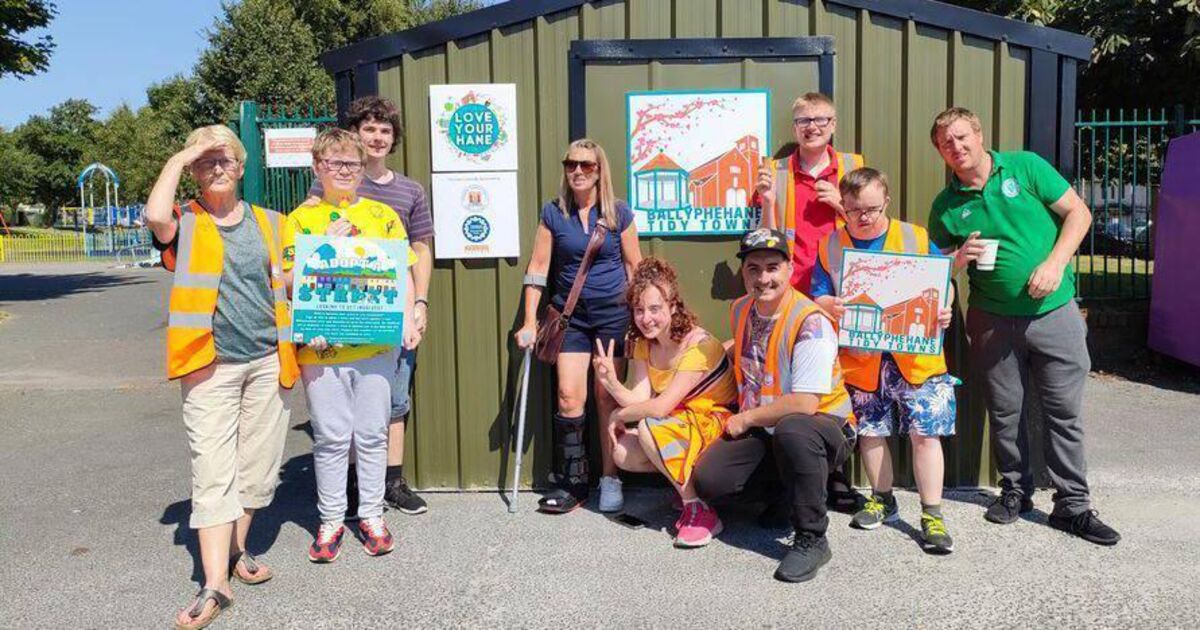 Donal Hickey: Here's how Ballyphehane won a Tidy Towns prize in their ...