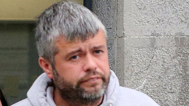 Bail for Limerick man on four animal cruelty charges who had 19 dogs at ...