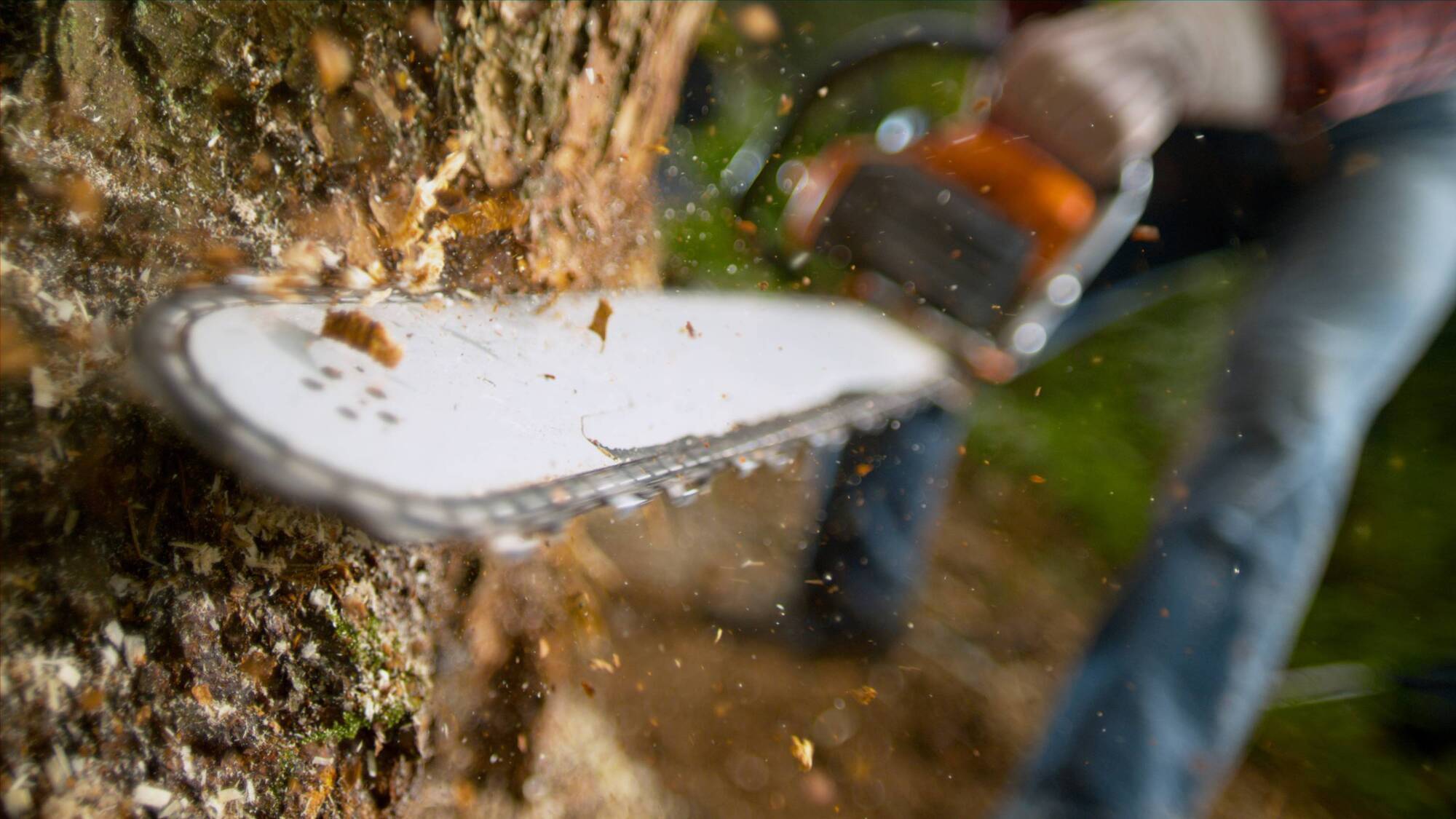Farmers urged to review safety standards of chainsaws