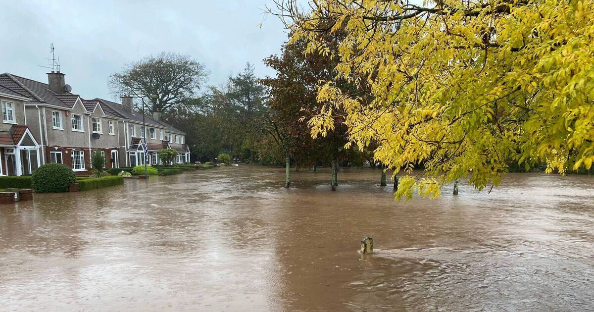 Extra funding for flood-hit Midleton Hospital and Owenacurra Mental ...