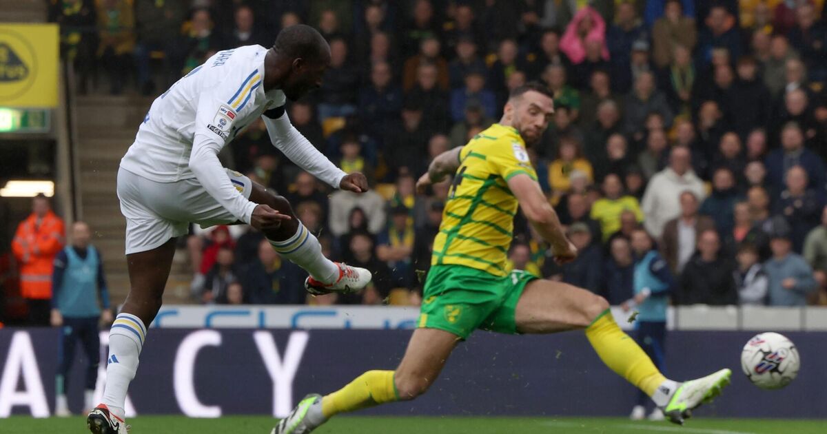 Duffy scores at both ends as Norwich lose to Leeds