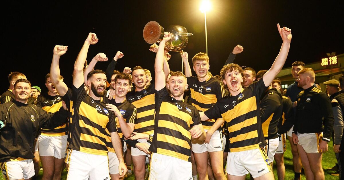 Kelleher finally shakes off Inniscarra as Canovee claim first crown ...