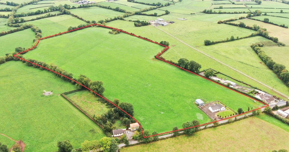 95-acre farm near Tipperary for auction in multiple lots