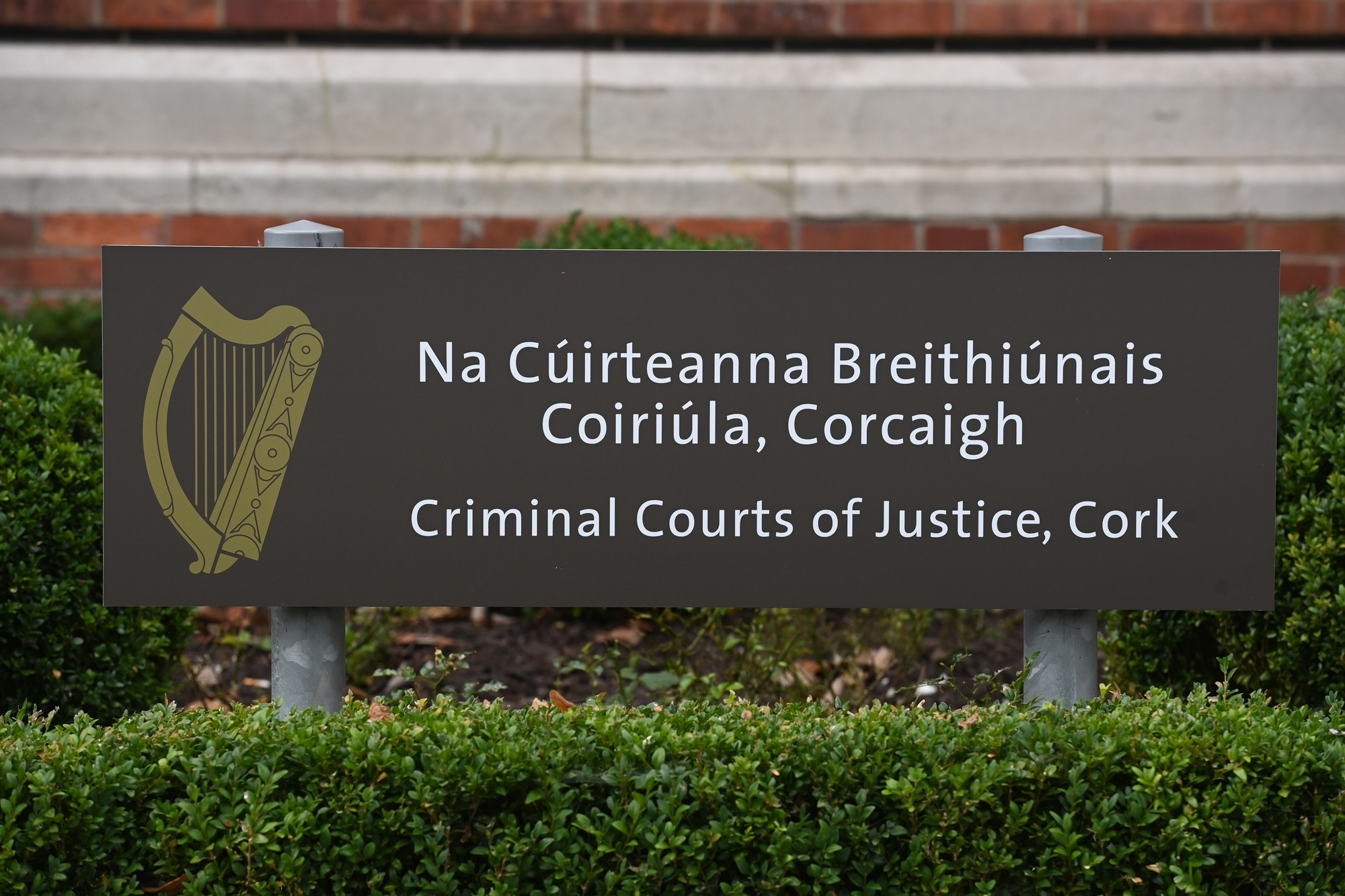 Corkman pleads guilty to charges of harassing a woman and dangerous driving