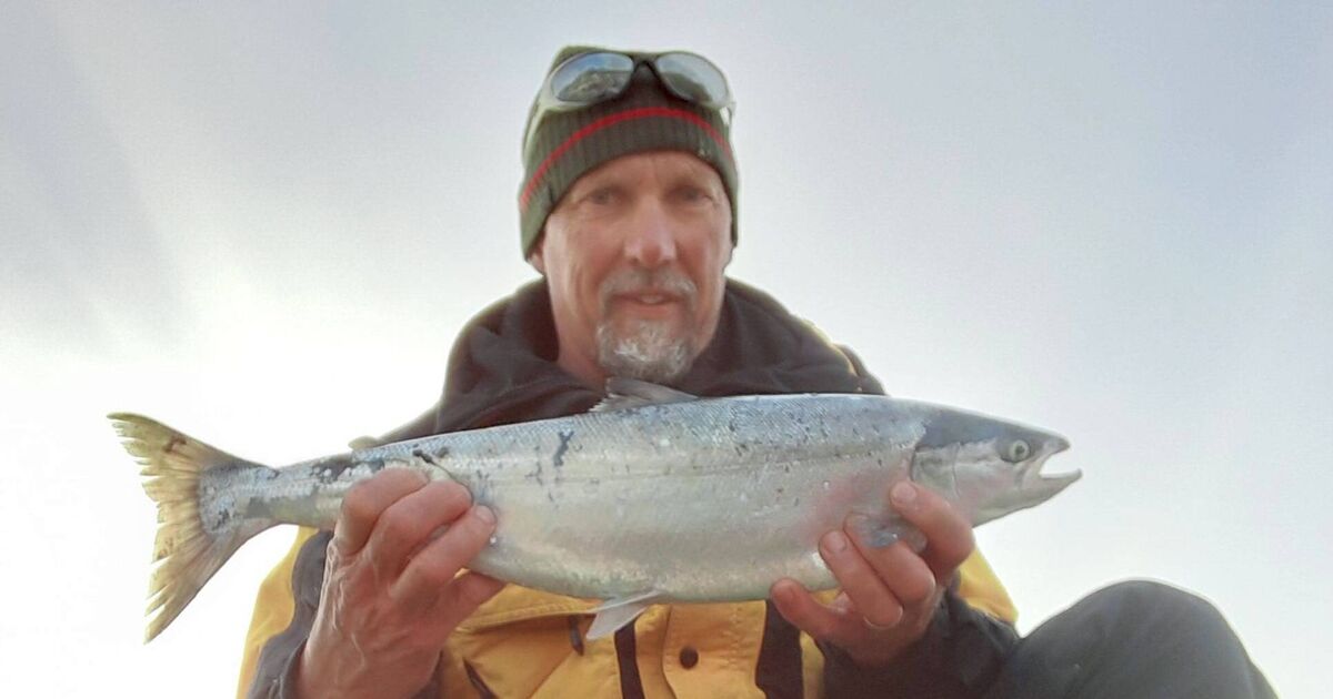 Irish researchers hope to uncover reasons for poor survival rates of ...