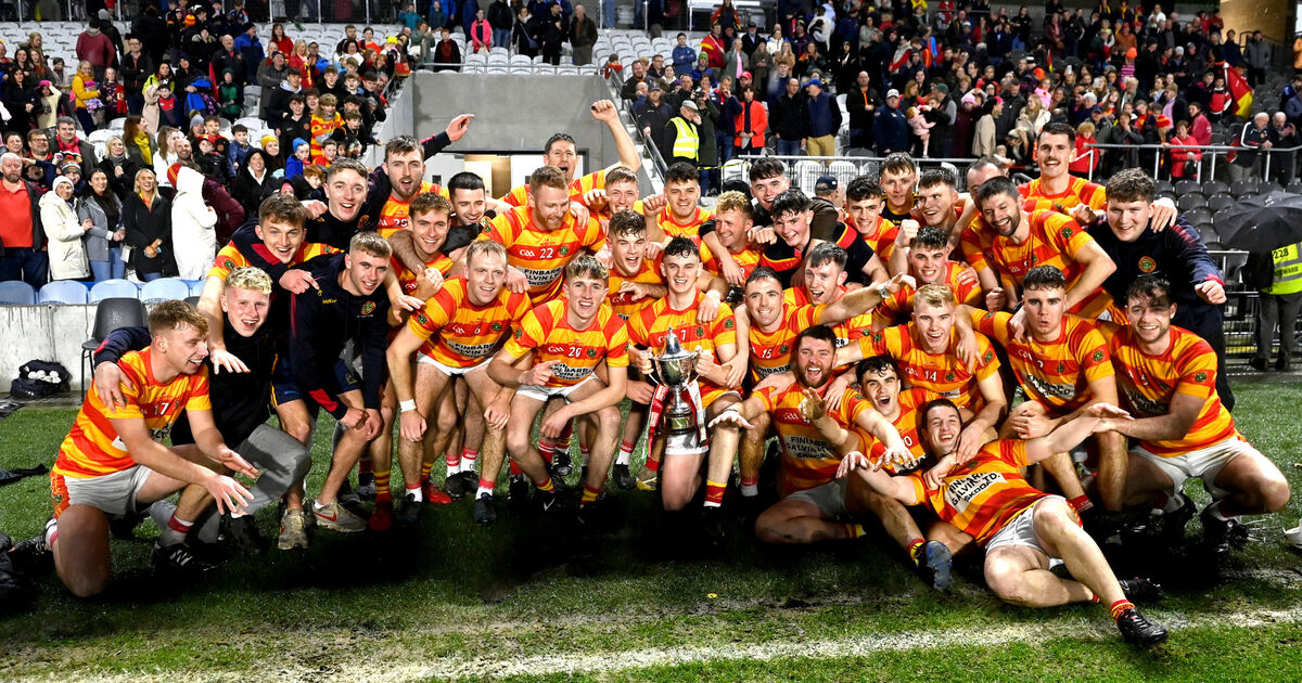 'Important' win as Newcestown going for Double Senior A titles