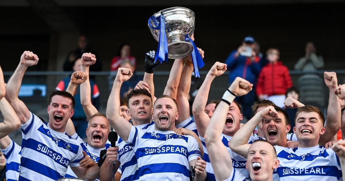 Hurley brothers on song as Castlehaven claim first Cork county title in ...