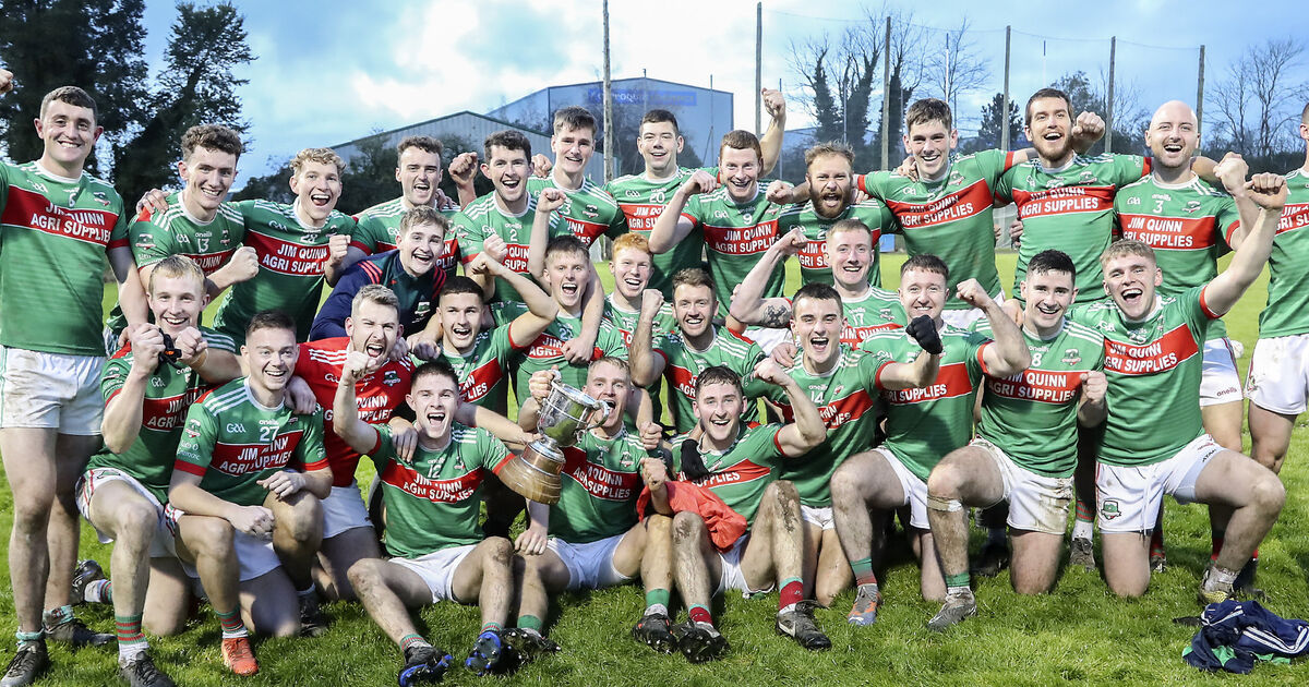 Relief as Rathgormack regain Conway Cup