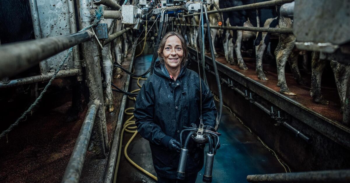 Women will play more prominent role in the future of Irish dairy