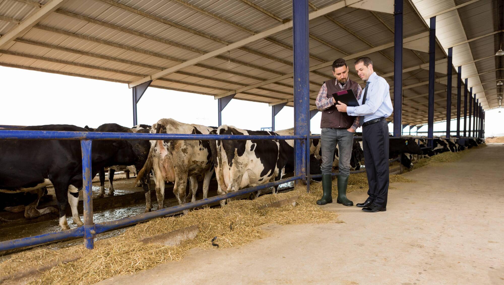Stephen Cadogan: EU banks urged to open their doors to farmers