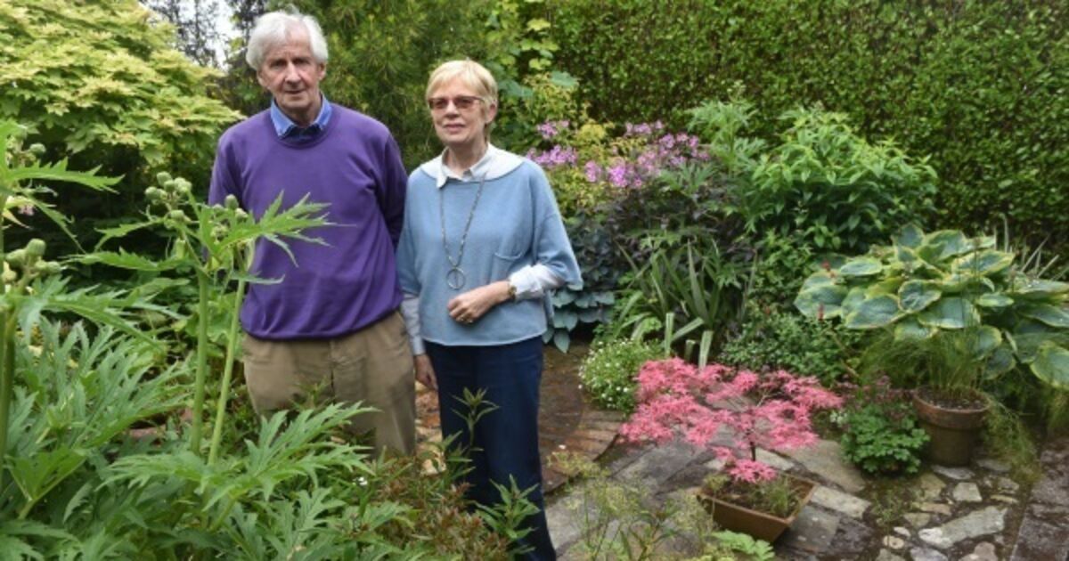 Go visiting if you want to be a good gardener