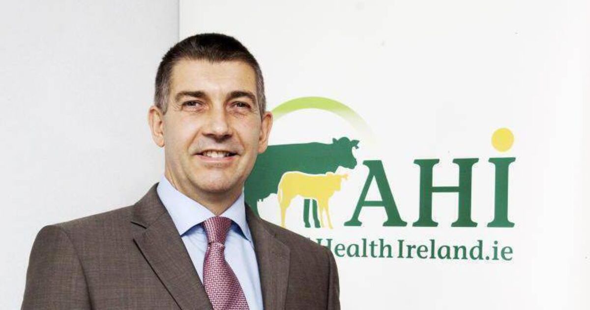 Animal Health Ireland chief executive to step down in 2024