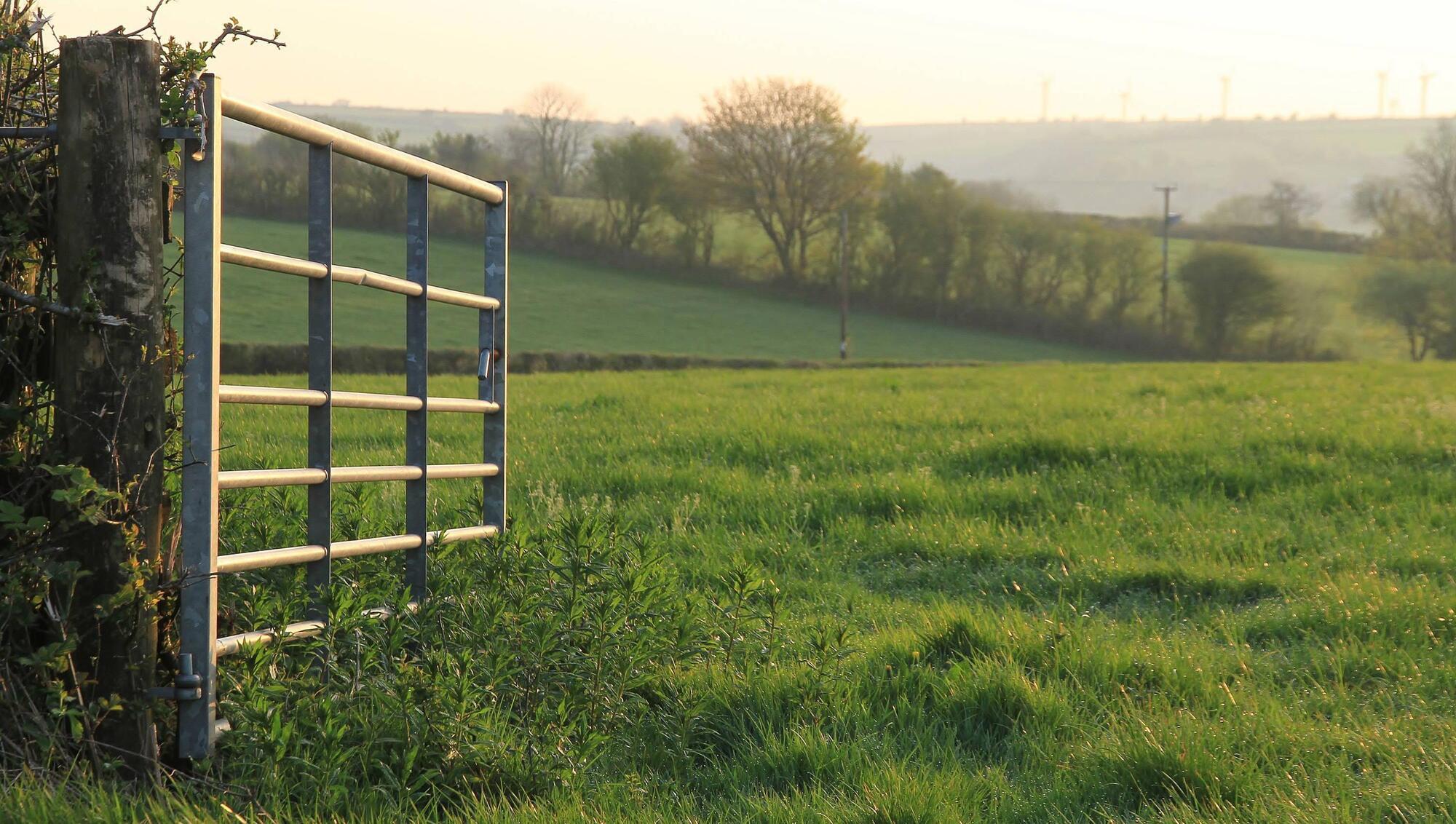 €184m begins issuing to farmers in new Eco-Scheme