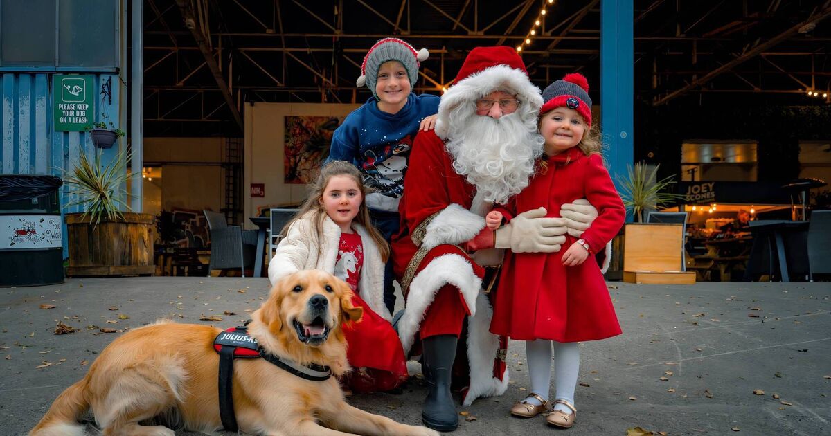 Eleven Christmas experiences and festive family days out that you can ...