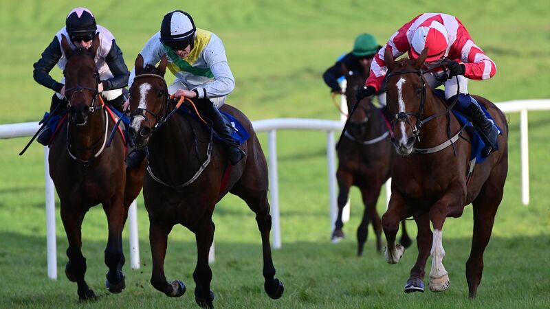 Lecky Watson benefits from terrific Townend ride to prevail at Thurles