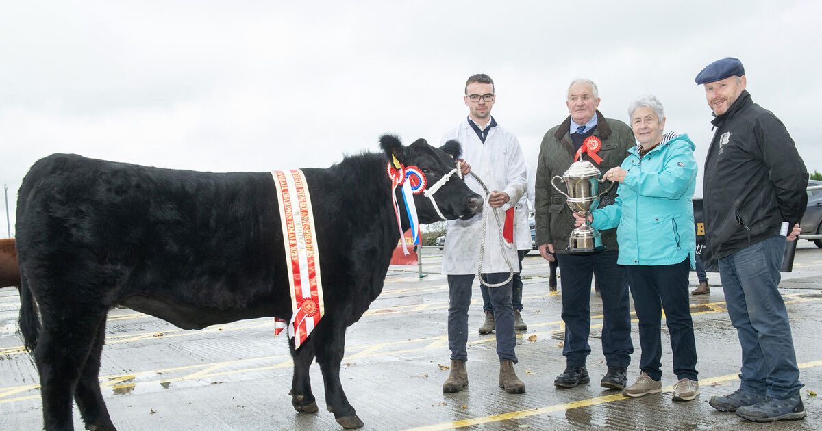 €3,900 top price at Munster Angus Breeders Autumn Sale