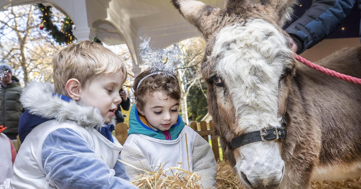 'It's a gift from farmers': Live animal crib returns to the Mansion ...