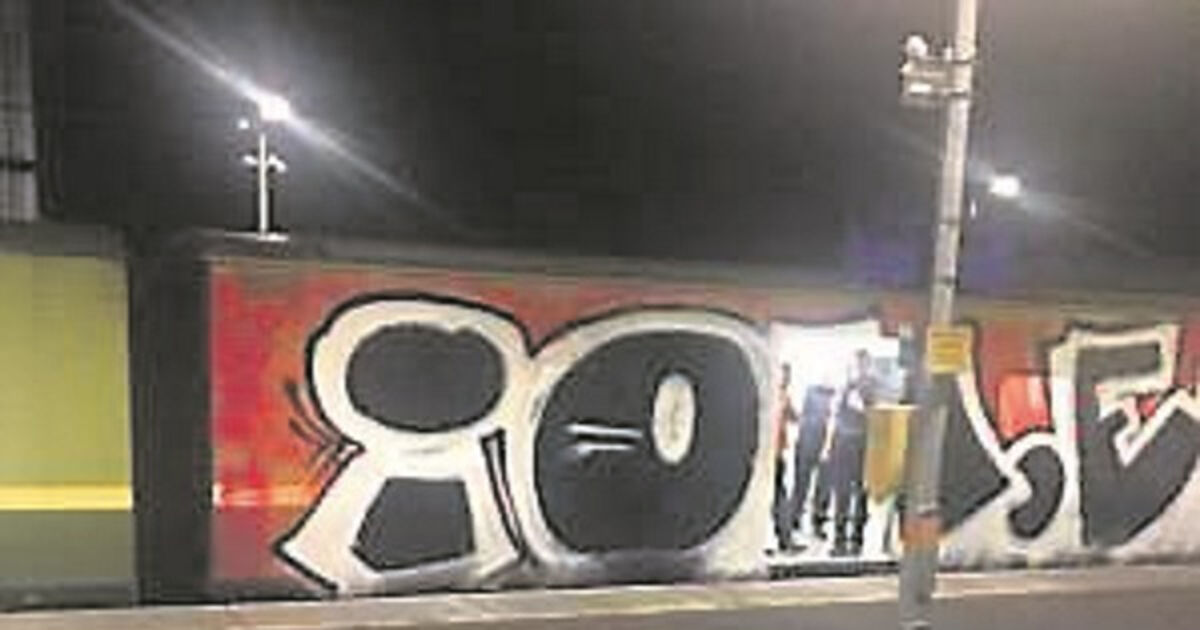 Terrorised DART passengers tackle balaclava-clad graffiti gang
