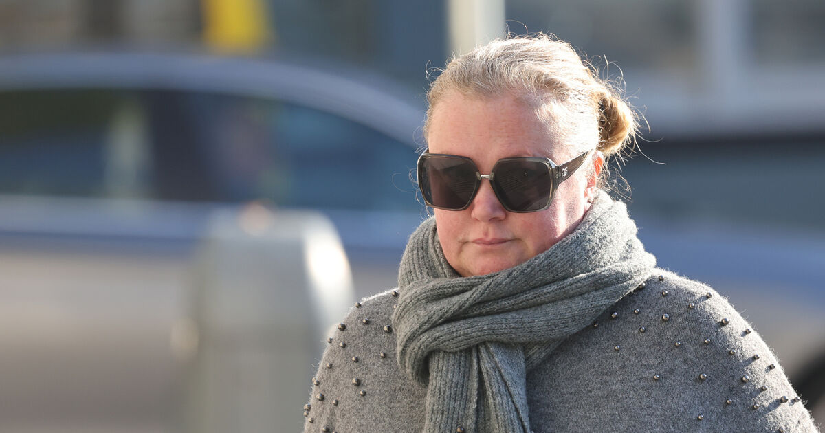 Sentencing of former 2FM DJ Nikki Hayes for money-laundering adjourned ...