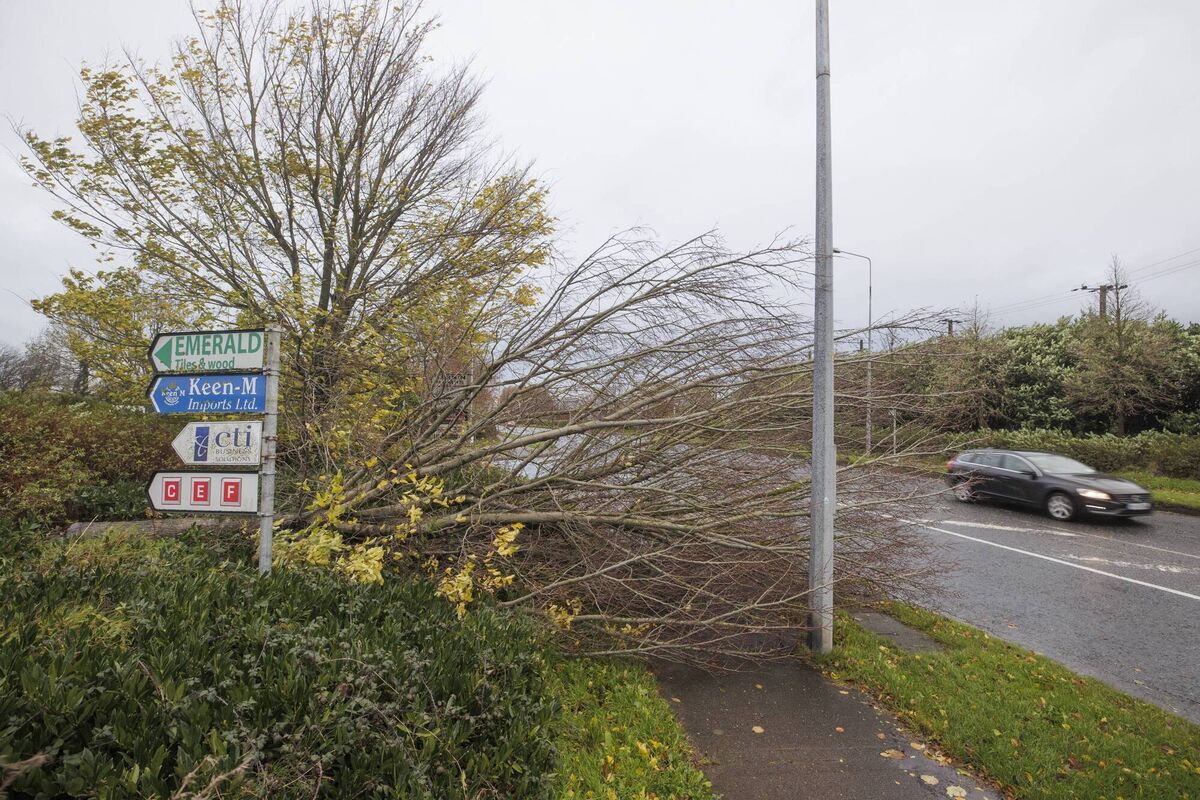 Thousands to be without power overnight after Storm Debi causes chaos