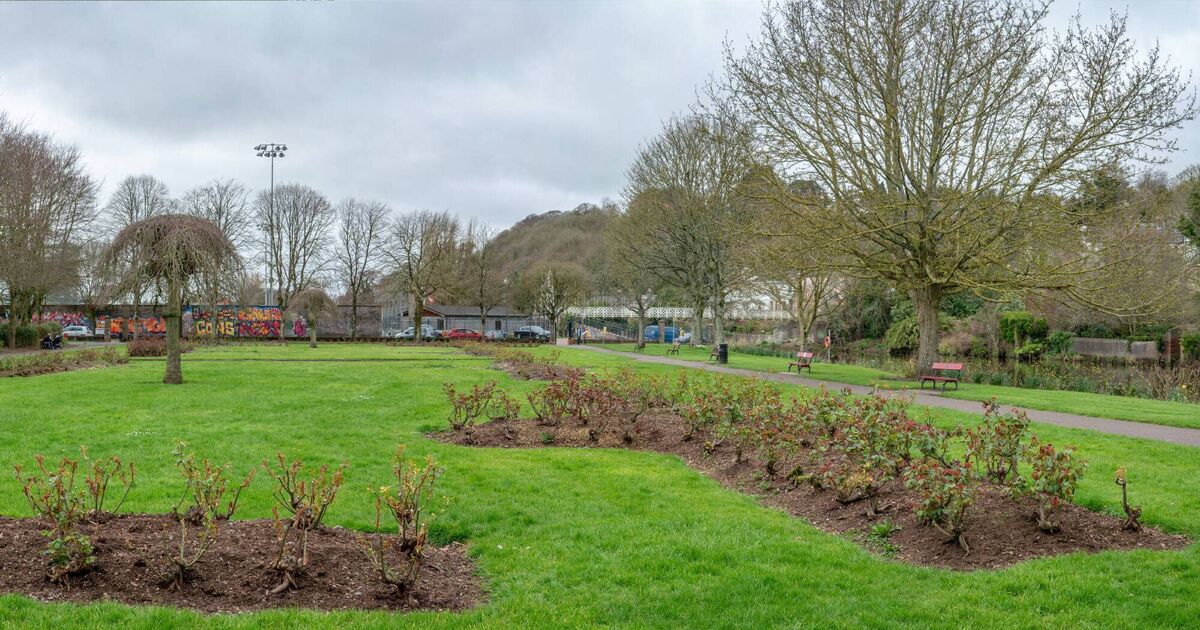 Catherine Conlon: Can you see three trees from your window?