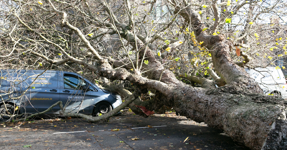 Thousands to be without power overnight after Storm Debi causes chaos
