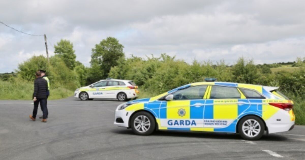 Cork hit-and-run victim found by his wife