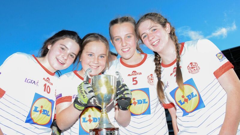 Farrell shines as Rushbrooke claim Sciath na Scol thriller