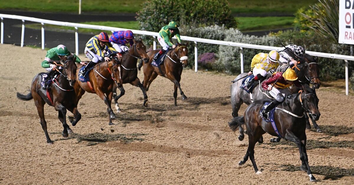 Dundalk tips: Nakassama can turn the tables on Not Forgotten