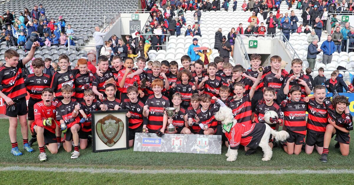 St Anthony's joy, Ballynoe mixed fortunes in Sciath finals