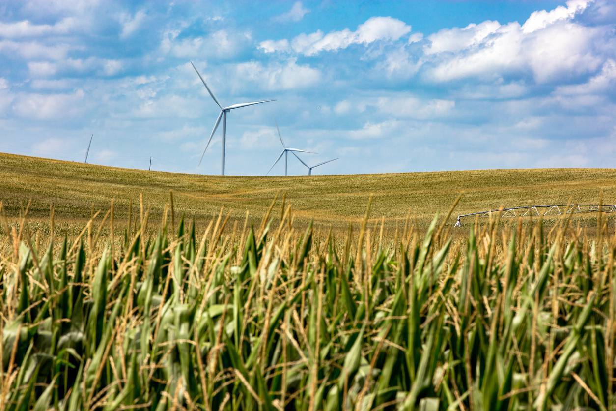Homeowners have positive attitude towards wind farms