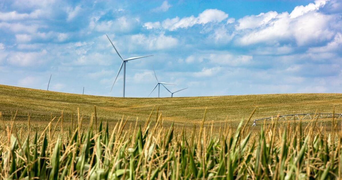 Homeowners have positive attitude towards wind farms