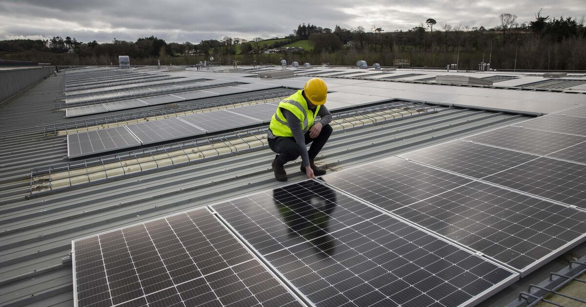 Solar energy investors call on State to remove barriers
