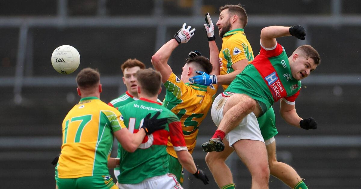Young bull McCabe is master of Corofin's field