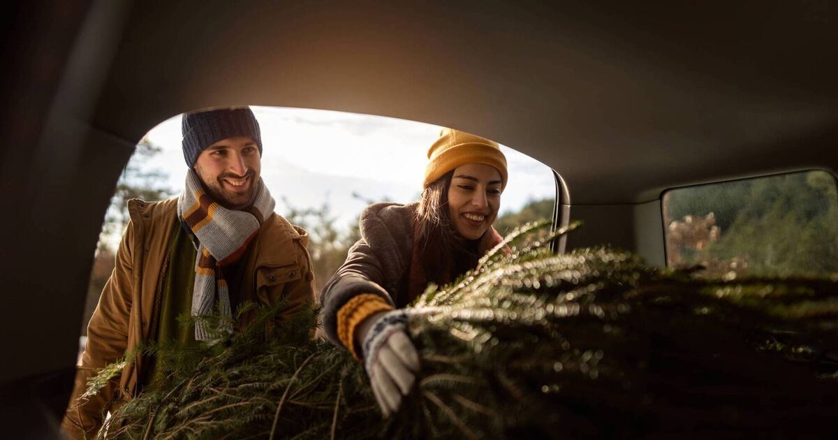 Green Christmas: Guide to a sustainable festive celebration