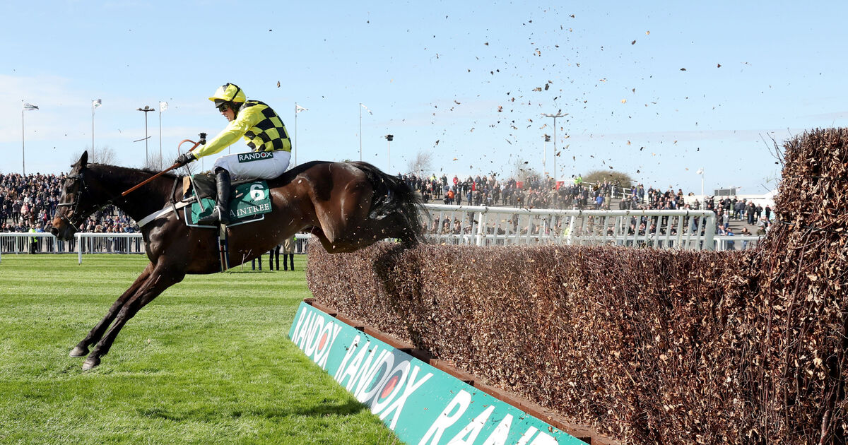 Henderson confirms Ascot preference for Shiskin