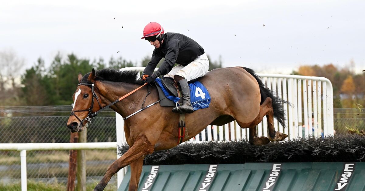 Donovan steers Shotgun Jack to Limerick success