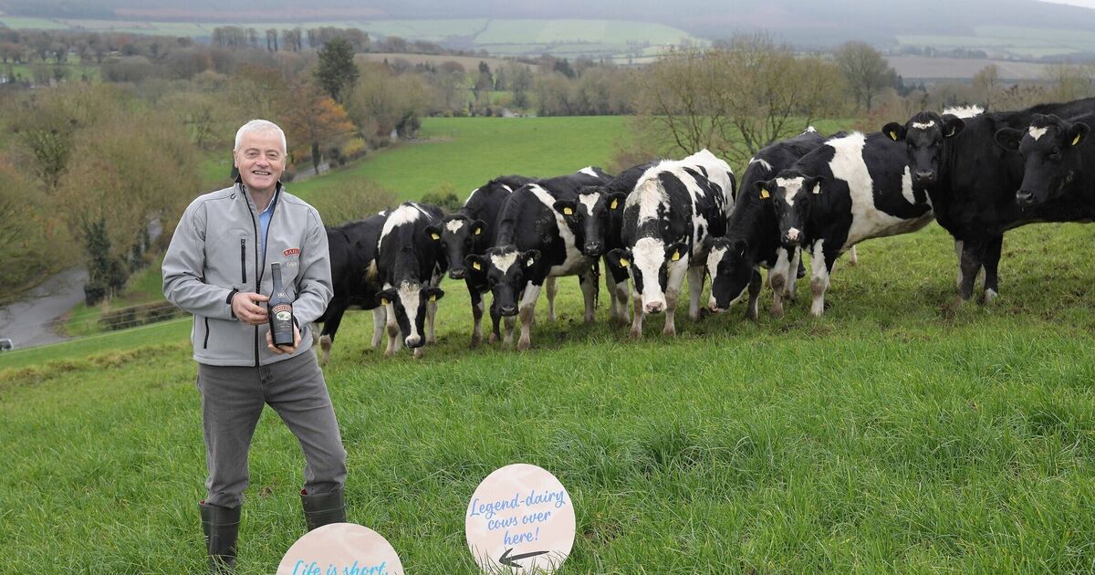 The Baileys ladies: The Wicklow farm helping to produce one of the most ...