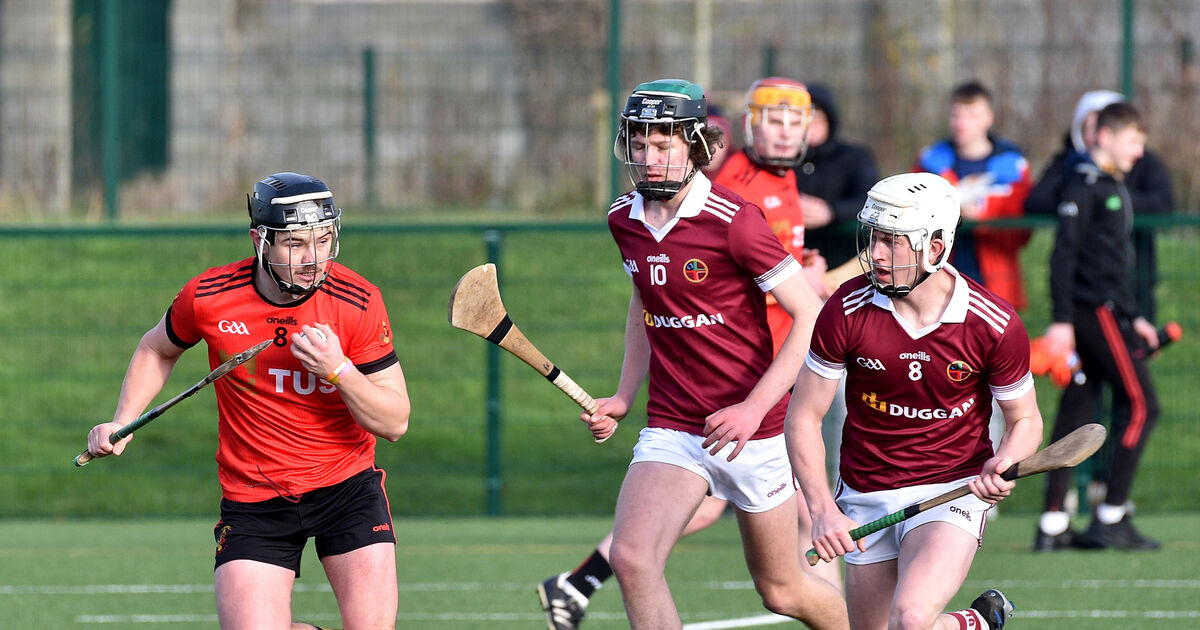 Meany goal seals John the Baptist Hospital place in Harty Cup last eight