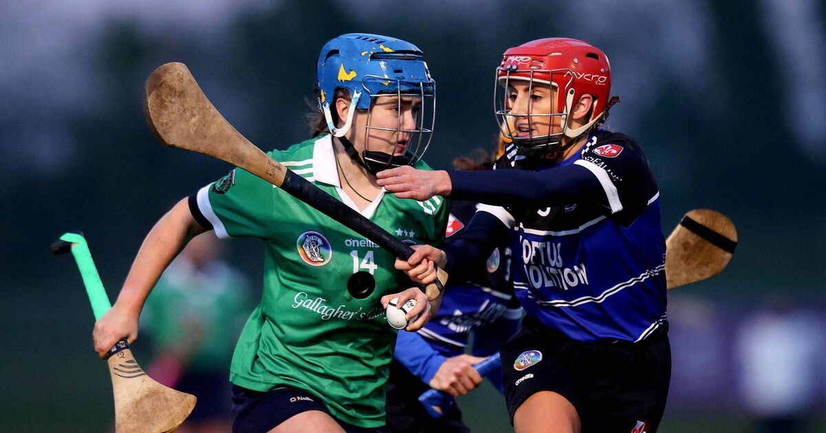 Back-to-back defending champions Sarsfields of Galway reach All-Ireland ...