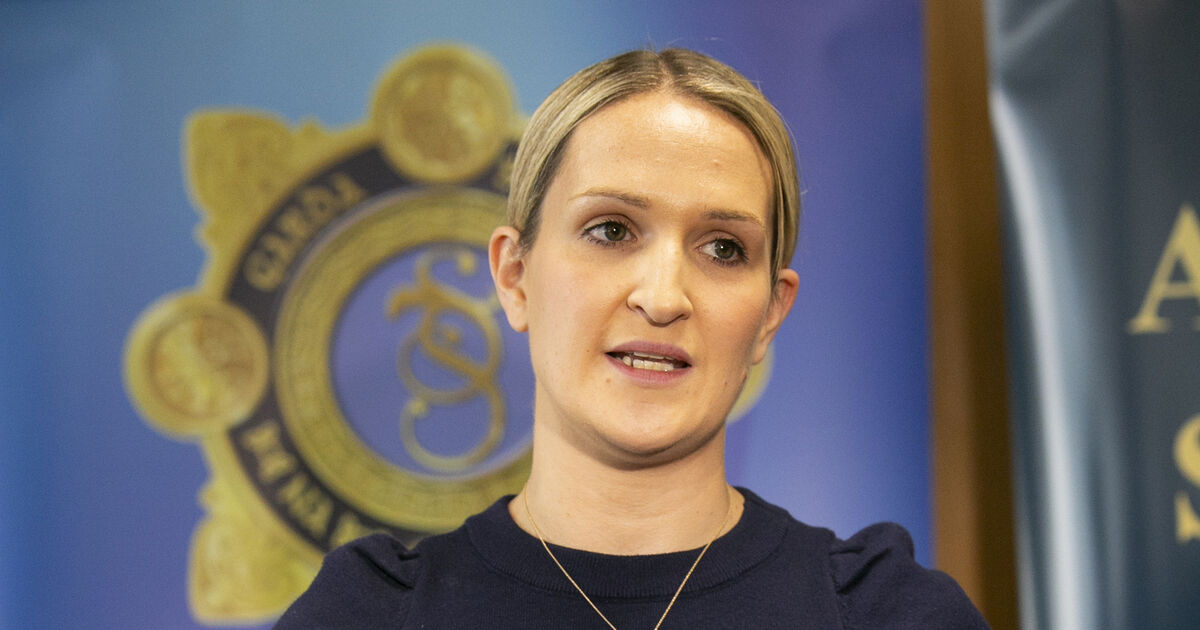 Helen McEntee says motion of no-confidence is a 'distraction'