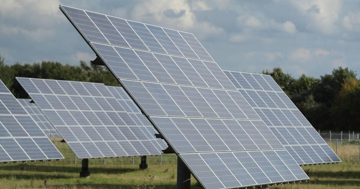 Cork-based Ørsted takes final investment decision on its first Irish ...