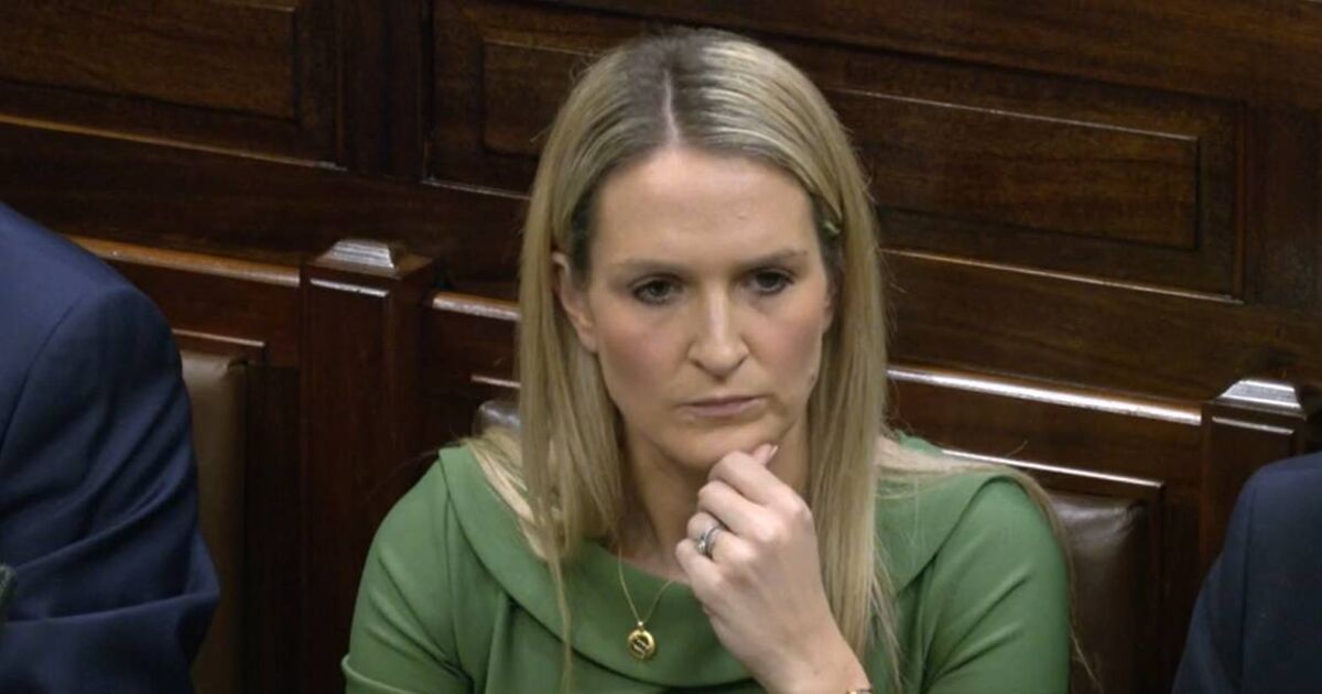 Justice Minister Helen McEntee wins confidence vote