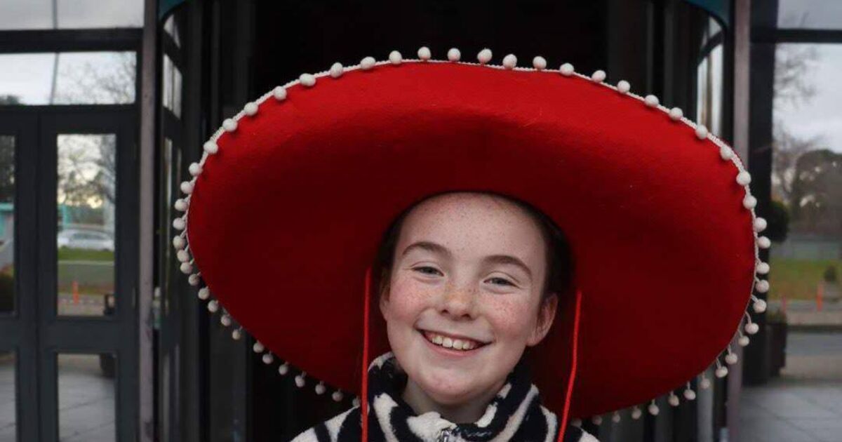 'Comeback Queen': Cork Toy Show star bounces back with new song after ...