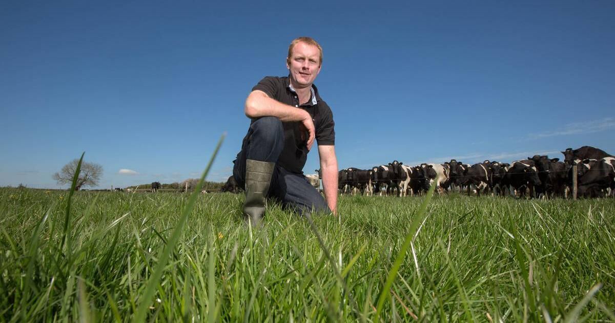 New ICMSA top team confirmed