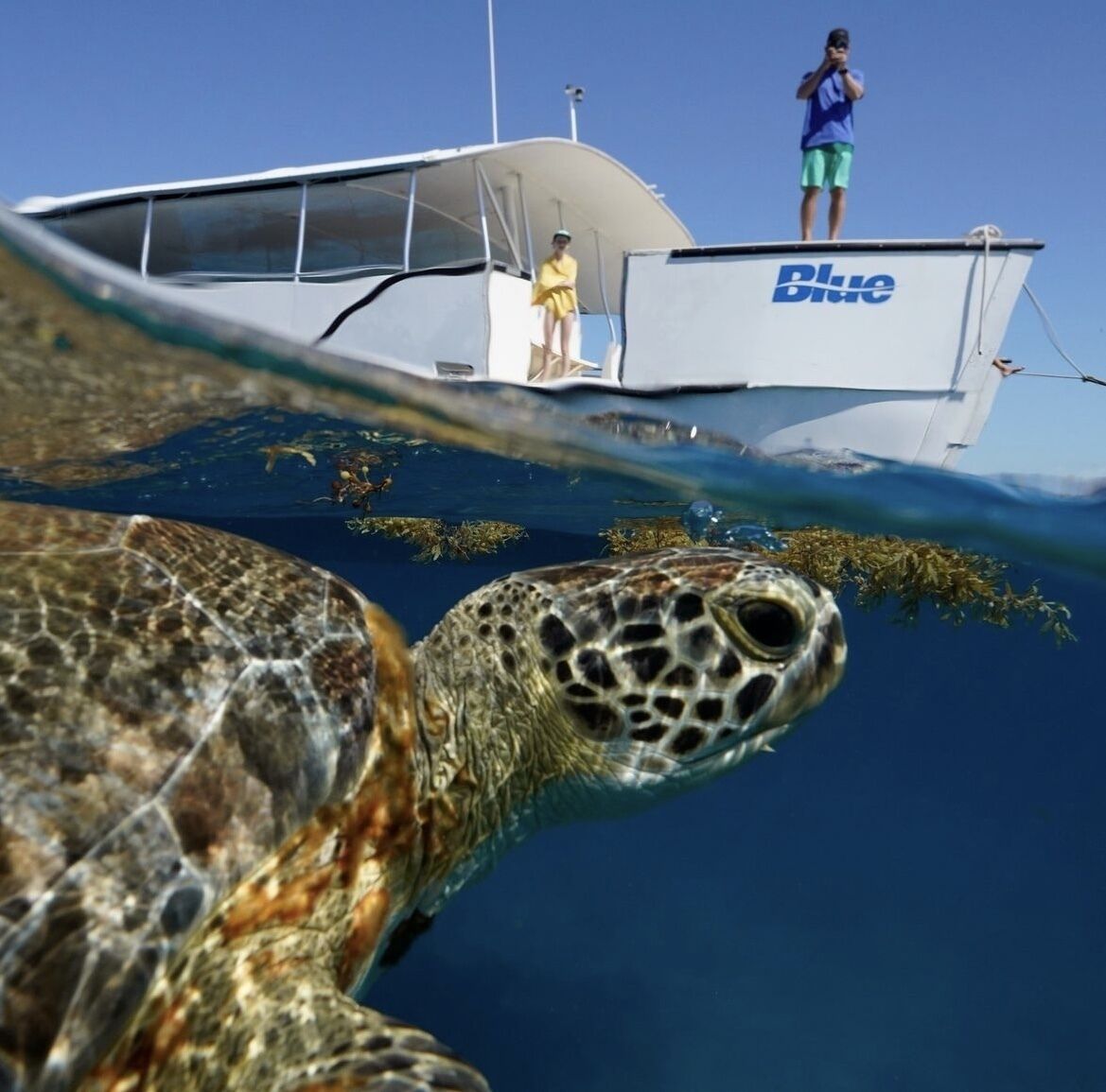 An eco-tourism adventure: nature offers Florida’s biggest thrills