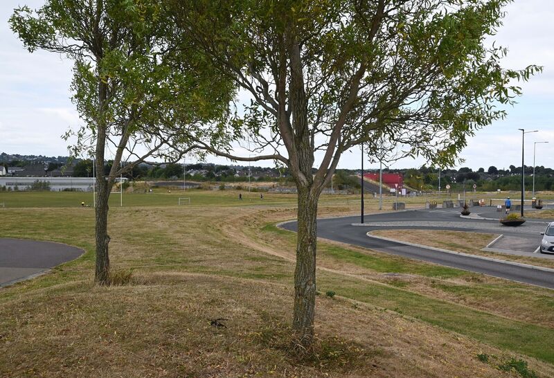 Here's why green space matters in our cities